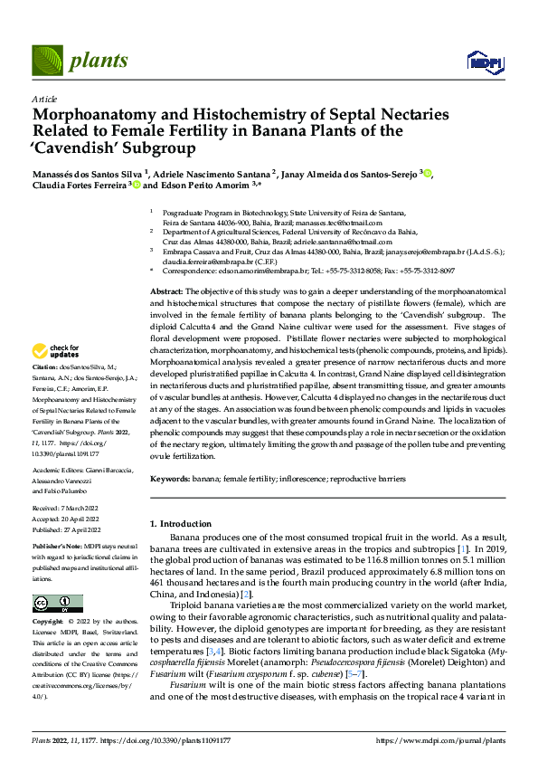 (PDF) Morphoanatomy and Histochemistry of Septal Nectaries Related to ...