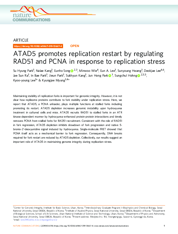 (PDF) ATAD5 promotes replication restart by regulating RAD51 and PCNA ...