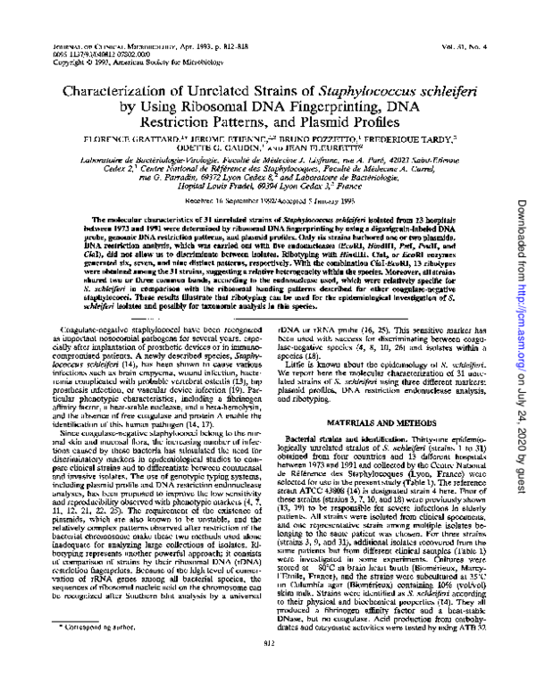 (PDF) Characterization of unrelated strains of Staphylococcus ...