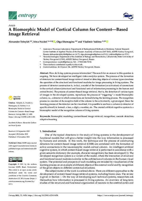 (PDF) A Biomorphic Model of Cortical Column for Content—Based Image ...