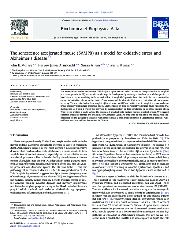 (PDF) The senescence accelerated mouse (SAMP8) as a model for oxidative ...