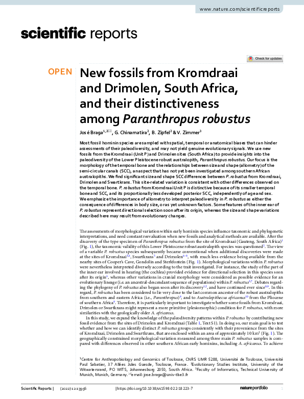 (PDF) New fossils from Kromdraai and Drimolen, South Africa, and their ...