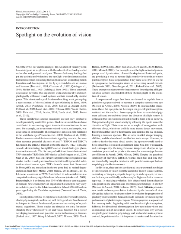 (PDF) Spotlight on the evolution of vision