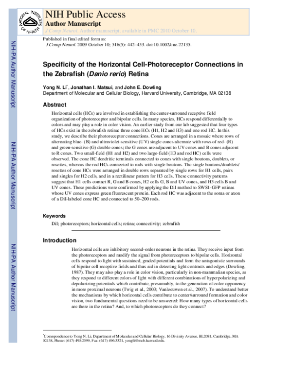 (PDF) Specificity of the horizontal cell-photoreceptor connections in ...