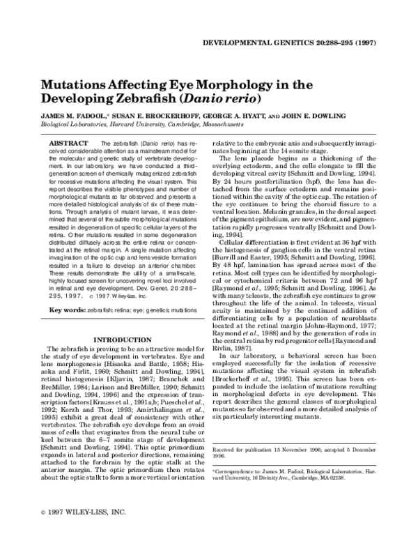 (PDF) Mutations affecting eye morphology in the developing zebrafish ...