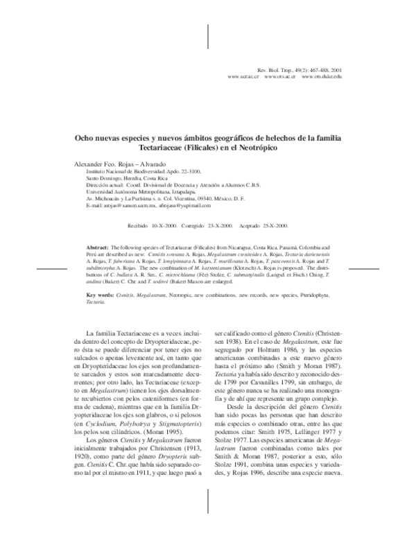 (PDF) Ocho nuevas especies y nuevos ámbitos geográficos de helechos de ...