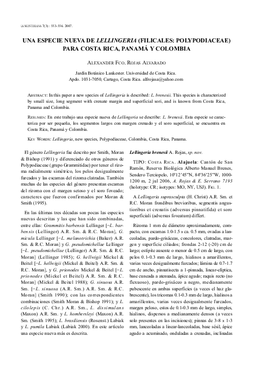 (PDF) Una especie nueva de Lellingeria (Filicales: Polypoliaceae) para ...