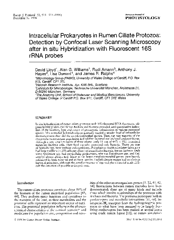 (PDF) Intracellular prokaryotes in rumen ciliate protozoa: Detection by ...