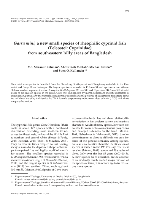 (PDF) Garra mini, a new small species of rheophilic cyprinid fish ...