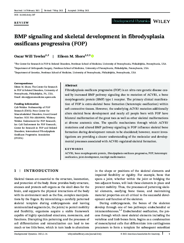 (PDF) BMP signaling and skeletal development in fibrodysplasia ...