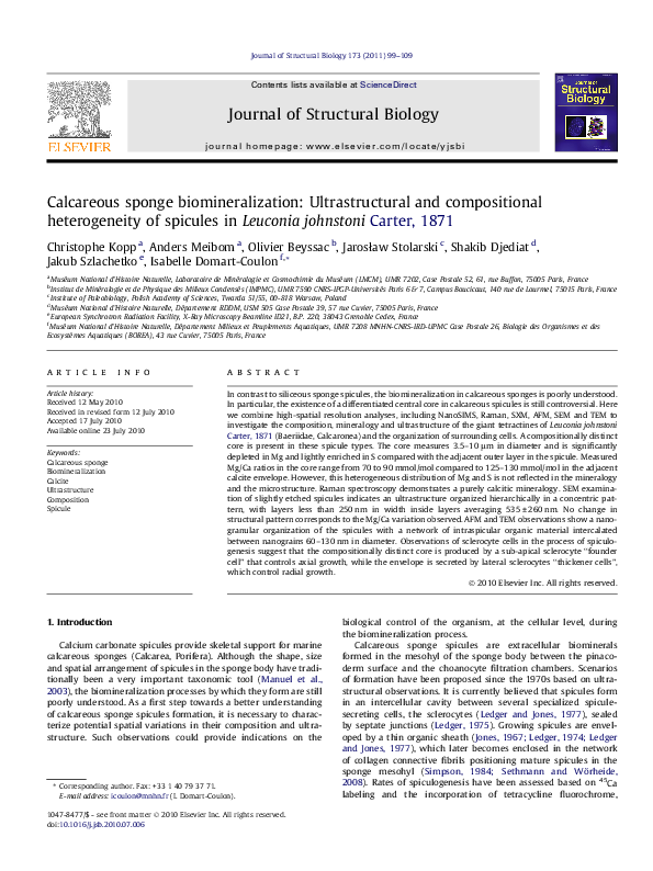 (PDF) Calcareous sponge biomineralization: Ultrastructural and ...