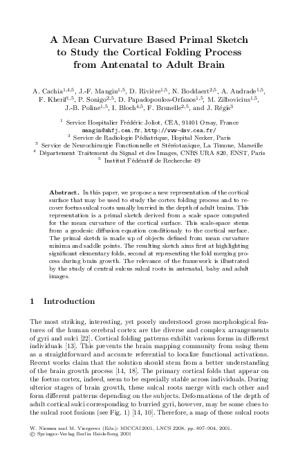 (PDF) A Mean Curvature Based Primal Sketch to Study the Cortical ...