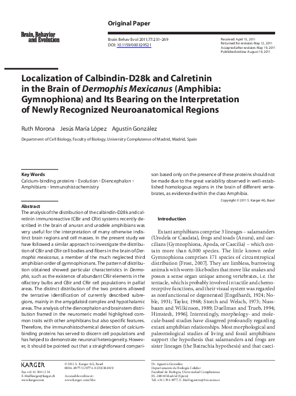 (PDF) Localization of Calbindin-D28k and Calretinin in the Brain of ...