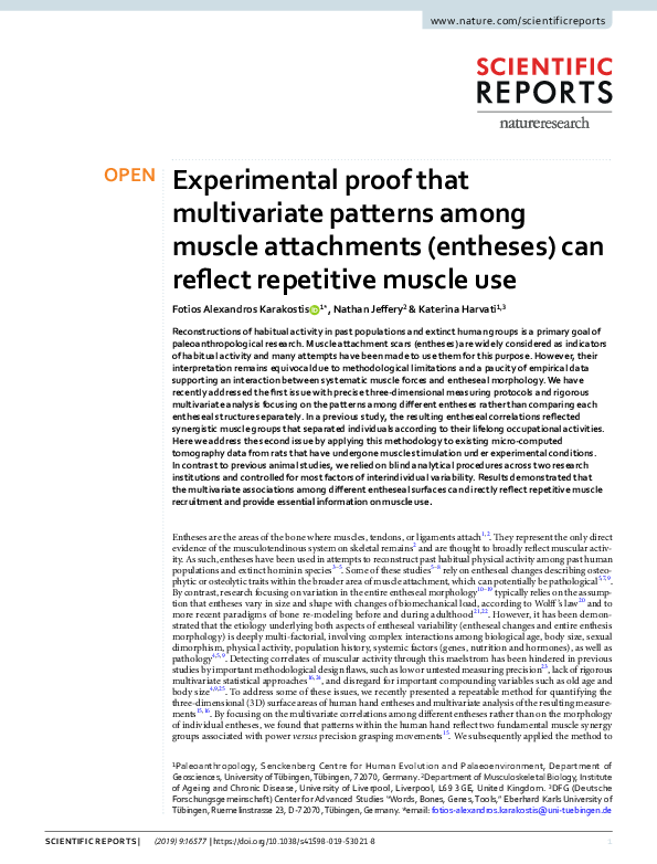 (PDF) Occupational manual activity is reflected on the patterns among ...