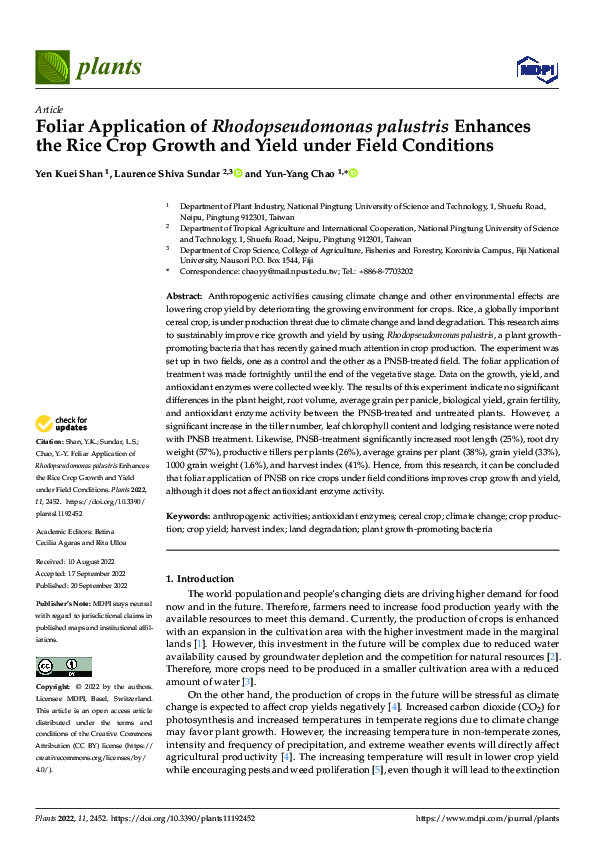 (PDF) Foliar Application of Rhodopseudomonas palustris Enhances the ...