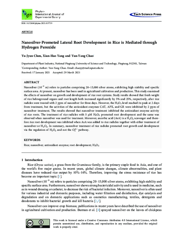 (PDF) Nanosilver-Promoted Lateral Root Development in Rice is Mediated ...