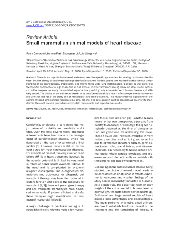 (PDF) Small mammalian animal models of heart disease