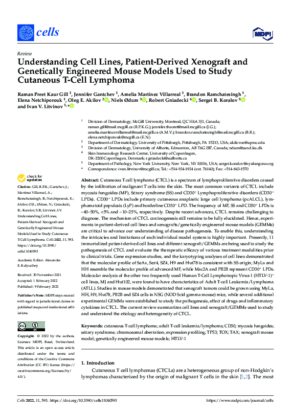 (PDF) Understanding Cell Lines, Patient-Derived Xenograft and ...