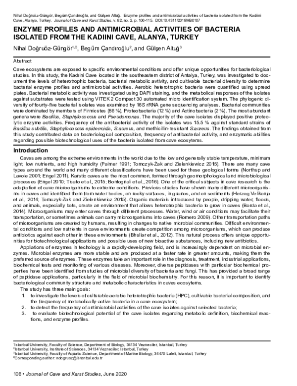 (PDF) Enzyme profiles and antimicrobial activities of bacteria isolated ...