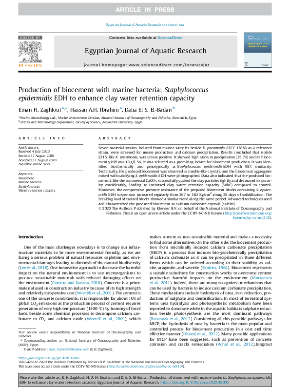 (PDF) Production of biocement with marine bacteria; Staphylococcus ...
