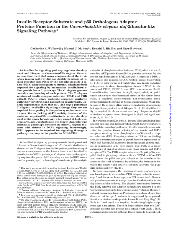 (PDF) Insulin Receptor Substrate and p55 Orthologous Adaptor Proteins ...