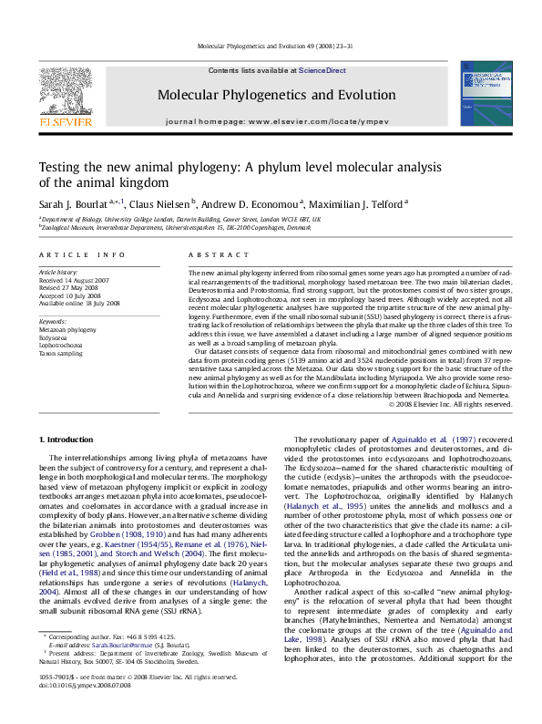 (PDF) Testing the new animal phylogeny: A phylum level molecular ...