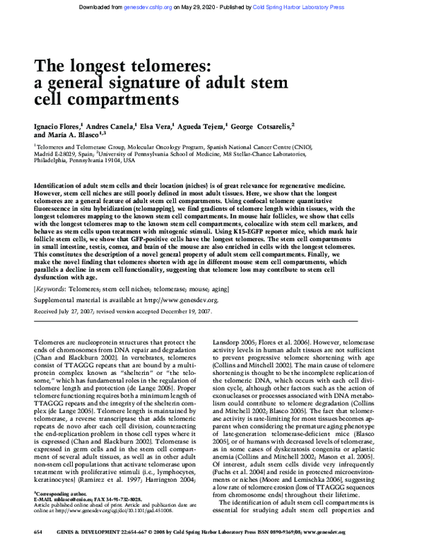(PDF) The longest telomeres: a general signature of adult stem cell ...