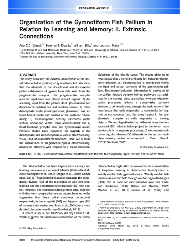 (PDF) Organization of the gymnotiform fish pallium in relation to ...