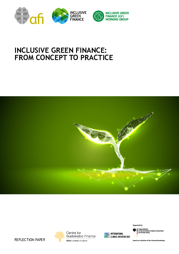 (PDF) Inclusive Green Finance: From Concept to Practice (reflection paper)