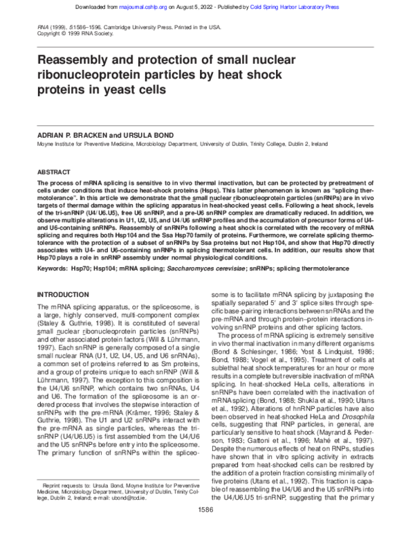 (PDF) Reassembly and protection of small nuclear ribonucleoprotein ...