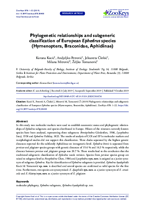 (PDF) High genetic diversity and a new cryptic species within the ...