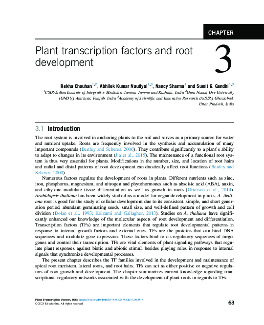 (PDF) Plant transcription factors and root development