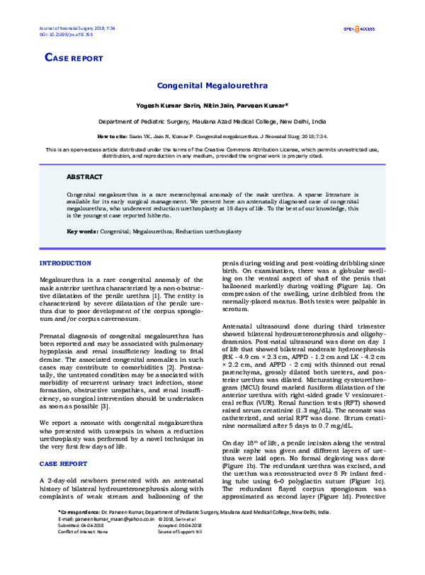 (PDF) Congenital Megalourethra