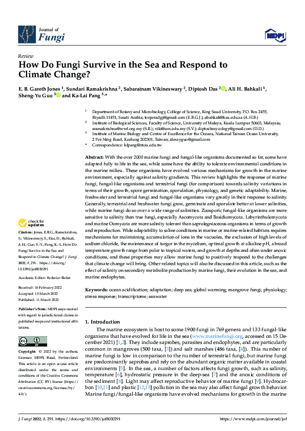 (PDF) How Do Fungi Survive in the Sea and Respond to Climate Change?