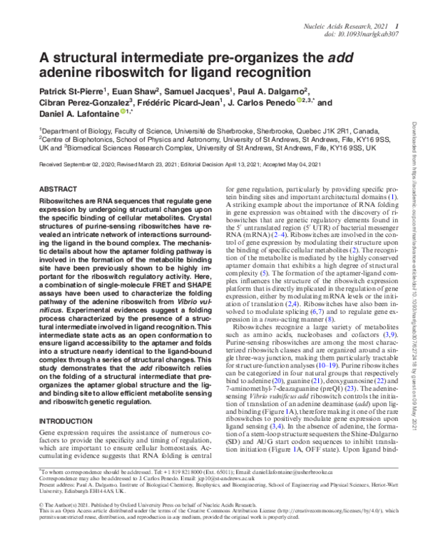 (PDF) A structural intermediate pre-organizes the add adenine riboswitch for ligand recognition