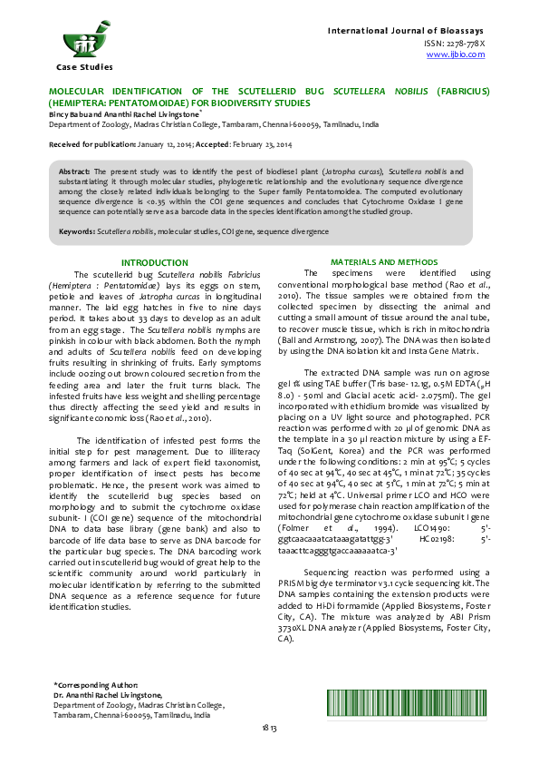 (PDF) Molecular identification of the scutellerid bug Scutellera ...