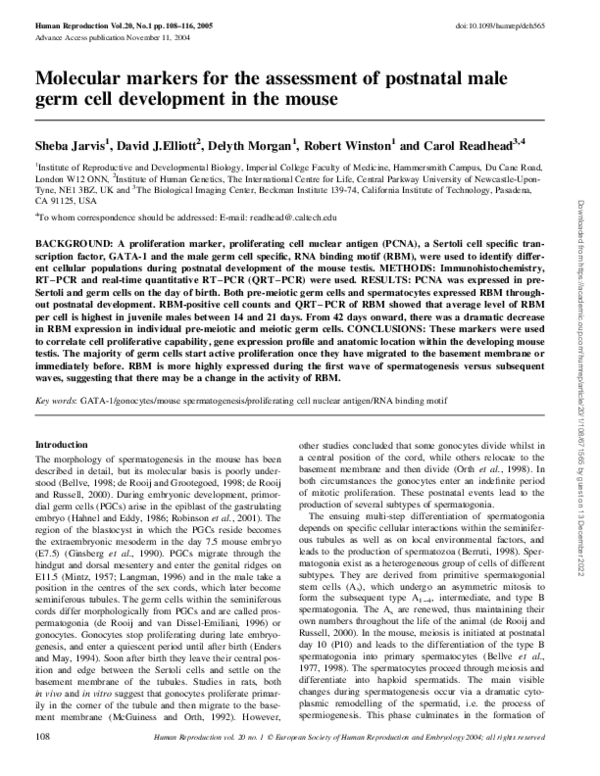 (PDF) Germ Cell Development