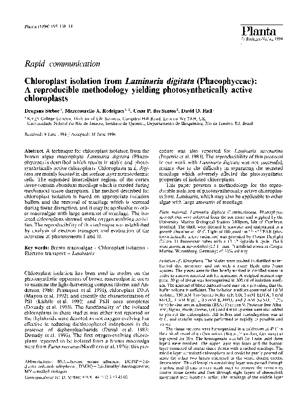 (PDF) Chloroplast isolation from Laminaria digitata (Phaeophyceae): A ...