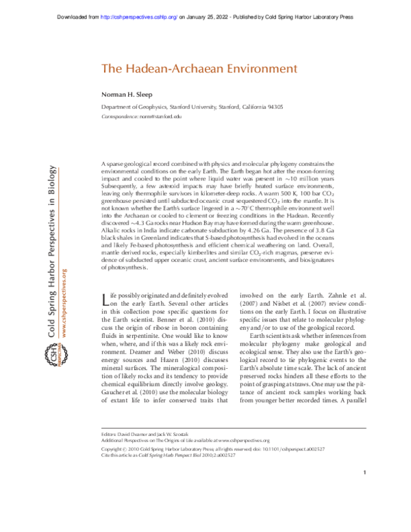 (PDF) The Hadean-Archaean environment