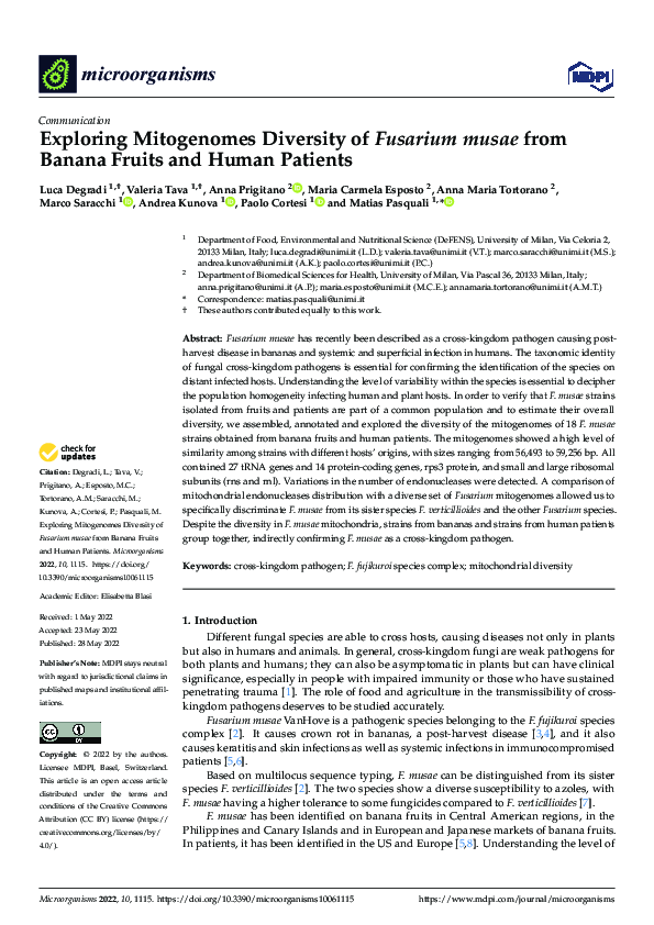 (PDF) Exploring Mitogenomes Diversity of Fusarium musae from Banana ...
