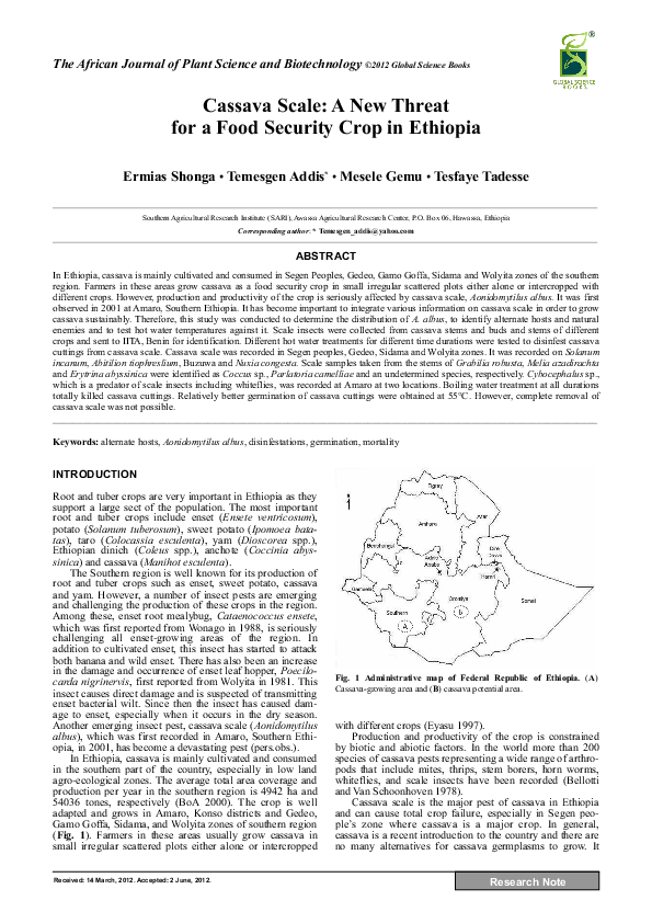 (PDF) Cassava Scale: A New Threat for a Food Security Crop in Ethiopia