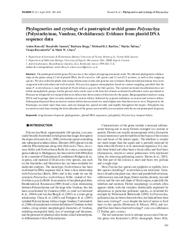 (PDF) Phylogenetics and cytology of a pantropical orchid ...
