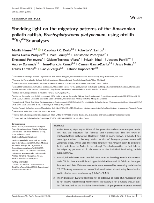(PDF) Shedding light on the migratory patterns of the Amazonian goliath ...