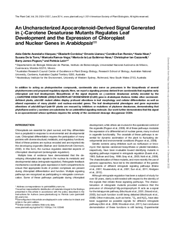 (PDF) An Uncharacterized Apocarotenoid-Derived Signal Generated in ζ ...