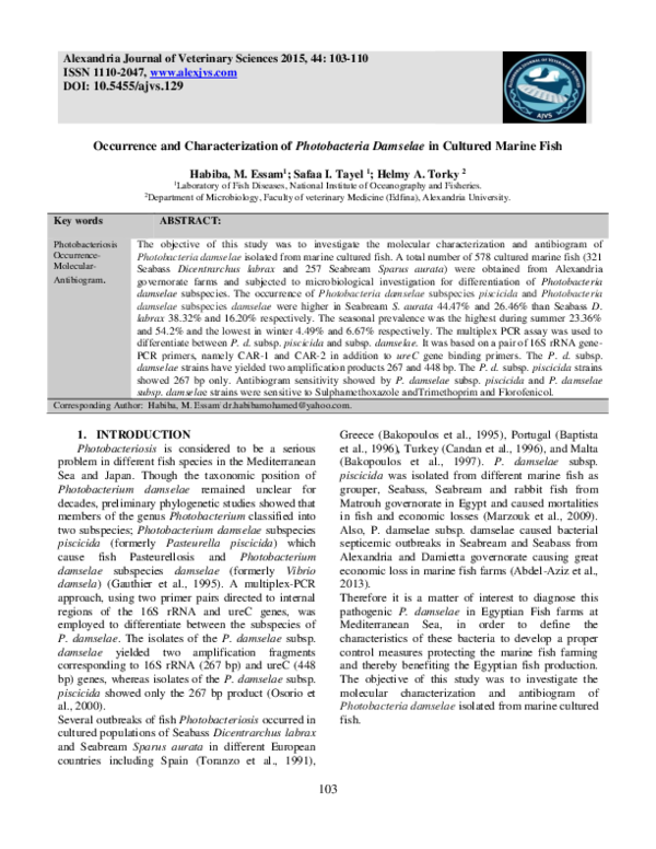 (PDF) Occurrence and Characterization of Photobacteria Damselae in ...