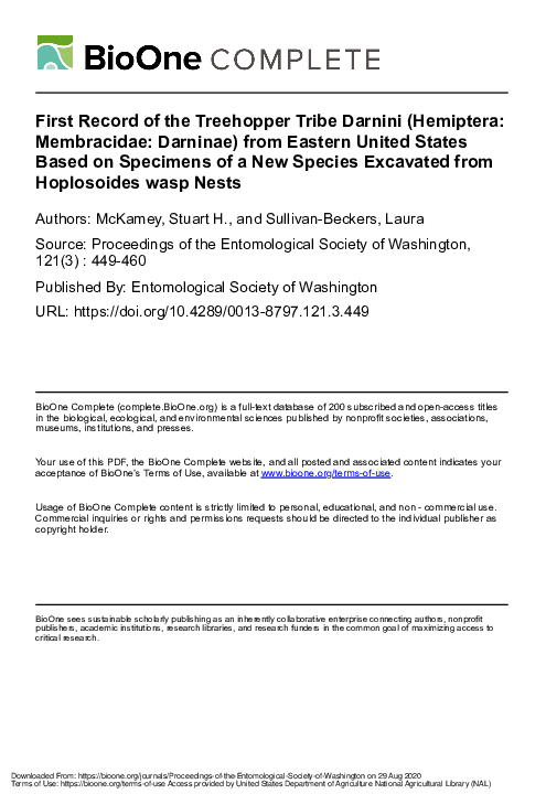 (PDF) First Record of the Treehopper Tribe Darnini (Hemiptera ...