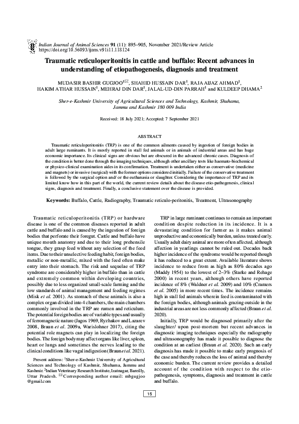 (PDF) Traumatic reticuloperitonitis in cattle and buffalo: Recent ...