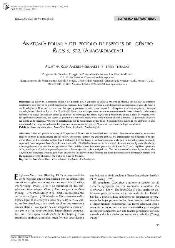 (PDF) Anatomía foliar y del pecíolo de especies del género Rhus s. str ...