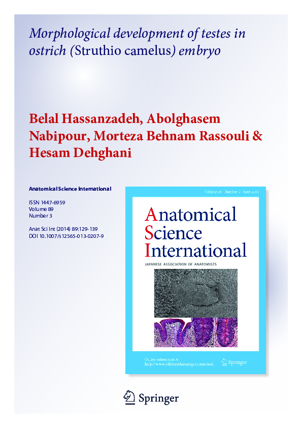 (PDF) Morphological development of testes in ostrich (Struthio camelus ...