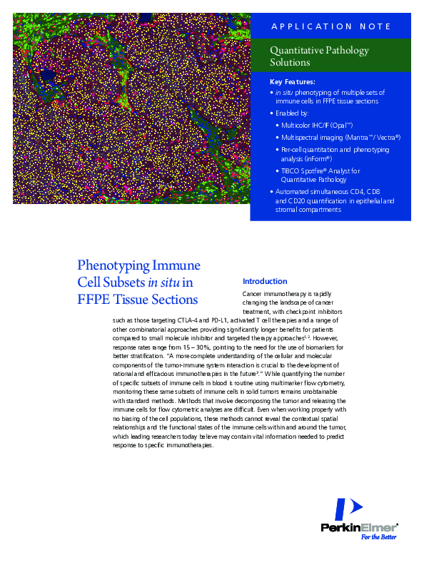 (PDF) Phenotyping Immune Cells in Cancer Tissue